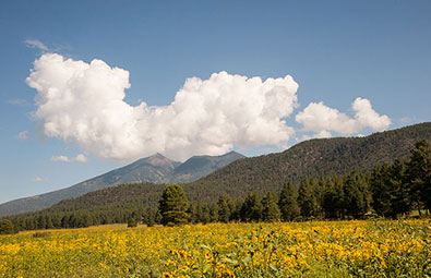 Spring Into Adventure in Flagstaff, Arizona