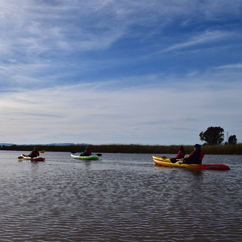 Things To Do With Kids In Fairfield and Kids Activities