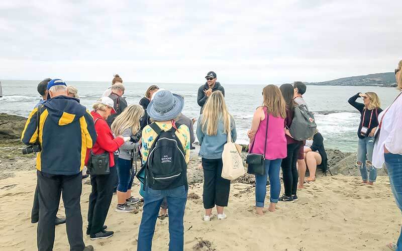 Turn your corporate retreat in Laguna Beach into an unforgettable ...