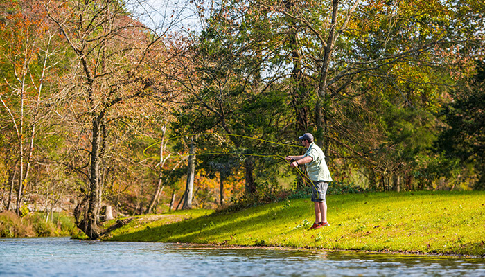 Our Top Things to Do at Table Rock Lake, Missouri