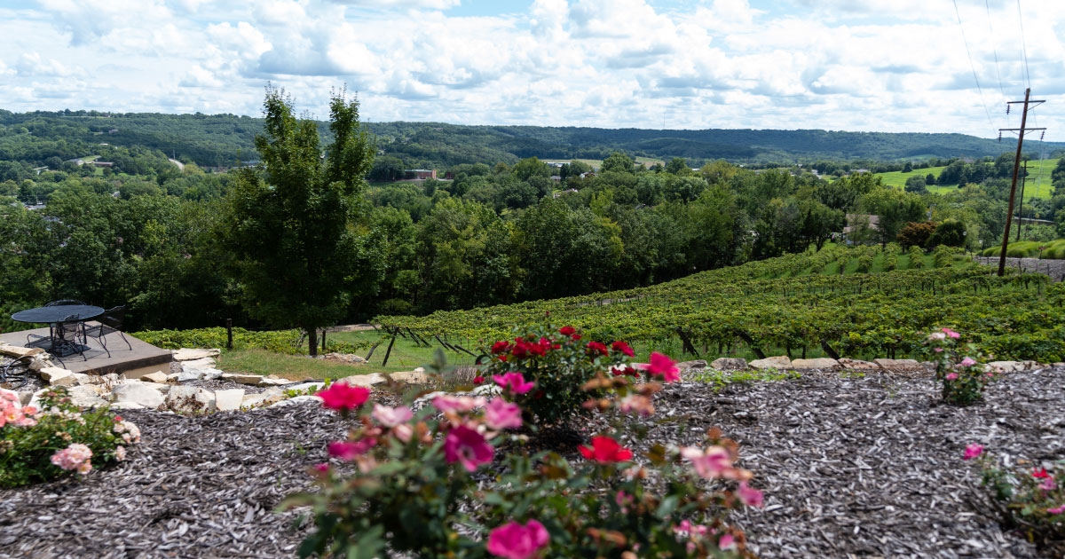 Outdoor Adventures in Missouri: Hermann MO Activities