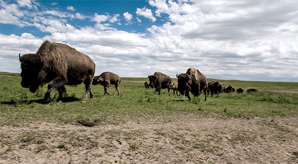 Take An Epic 8 Day Fall Road Trip Through The Wonders of Southeast Wyoming