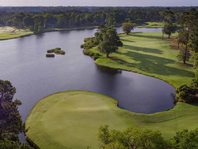 Tee-Off Along the Hammock Coast