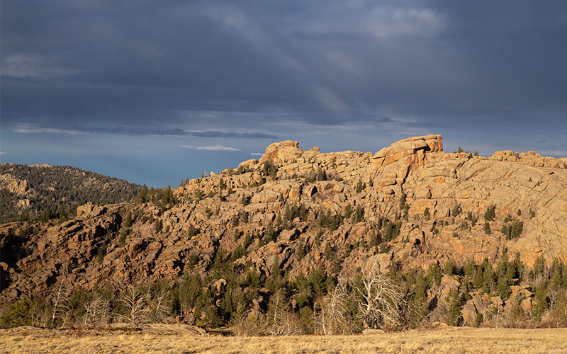 Albany County, Wyoming: The Ultimate Weekend Getaway Destination